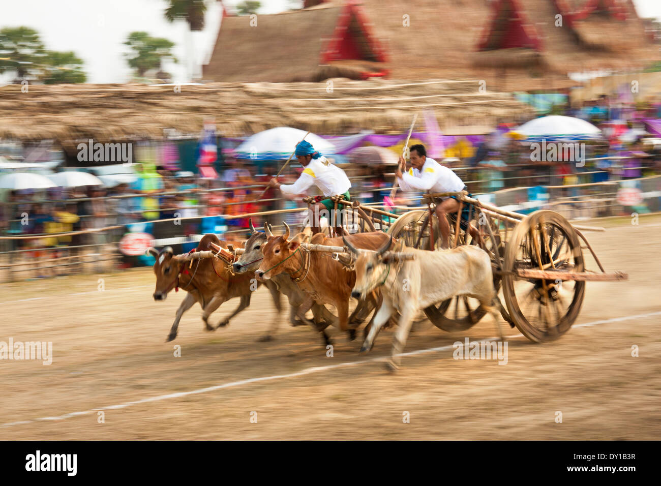 Cow cart hi-res stock photography and images - Alamy