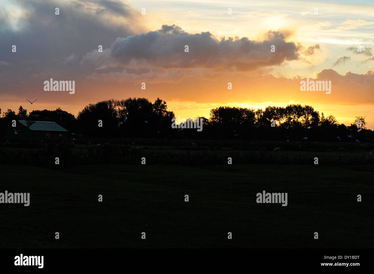 Sonnenaufgang, sun comes up,sunrise Stock Photo - Alamy