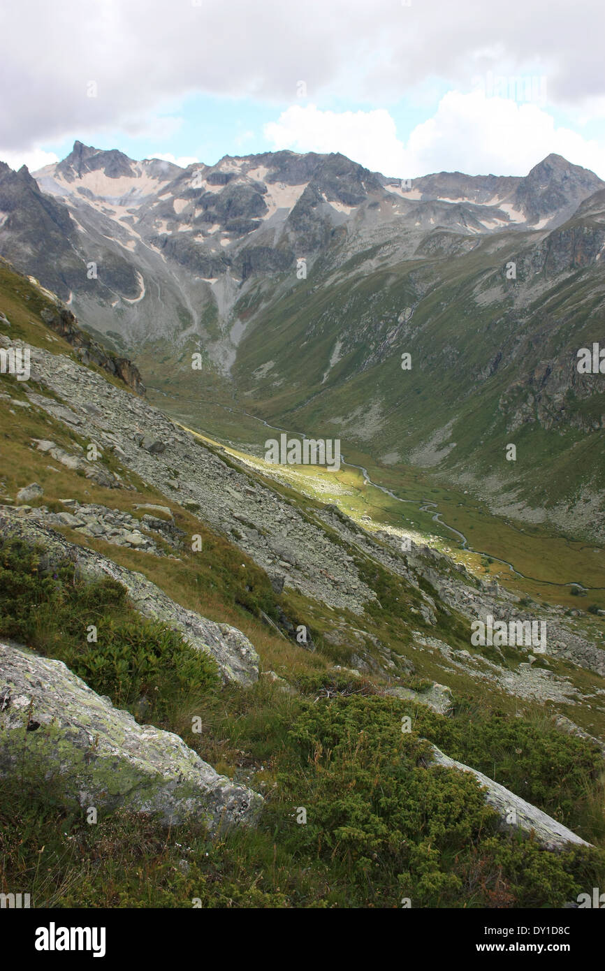 Alpine terrain with vegetation of the upper level Stock Photo - Alamy