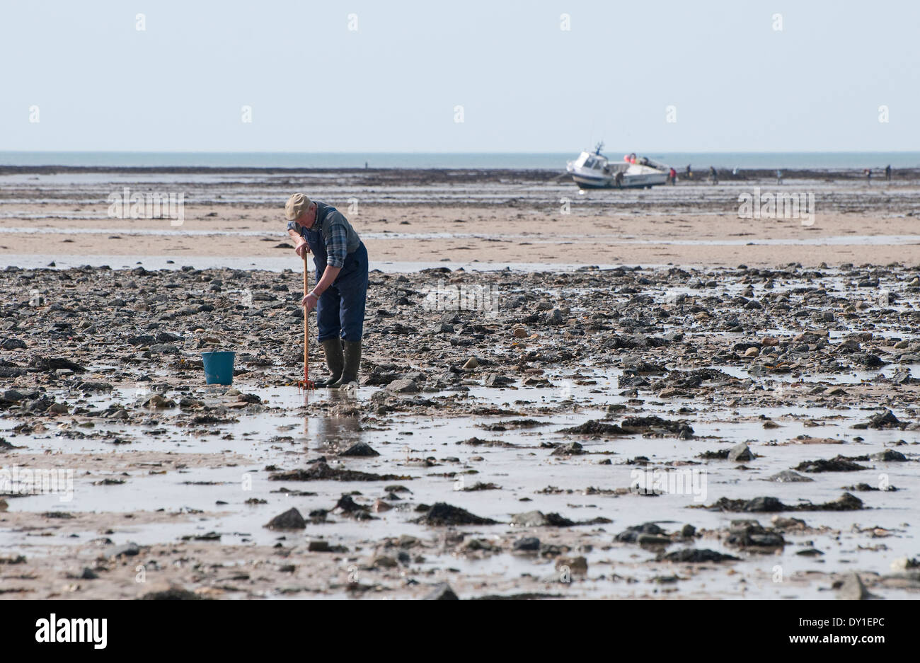 Shellfish collecting hi-res stock photography and images - Alamy