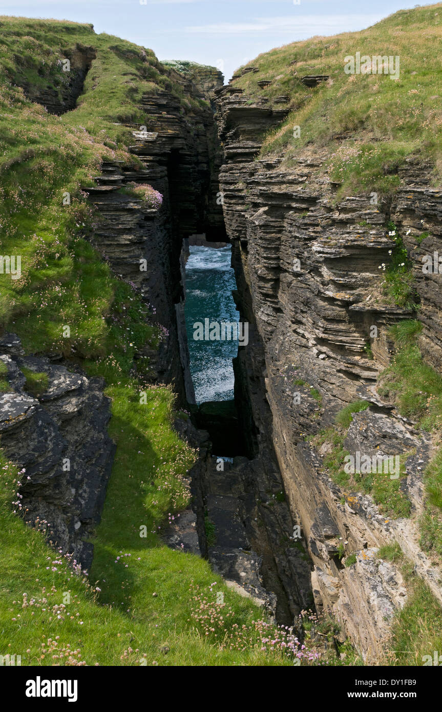 A geo and rock arch at Holborn Head, Scrabster, near Thurso, Caithness ...