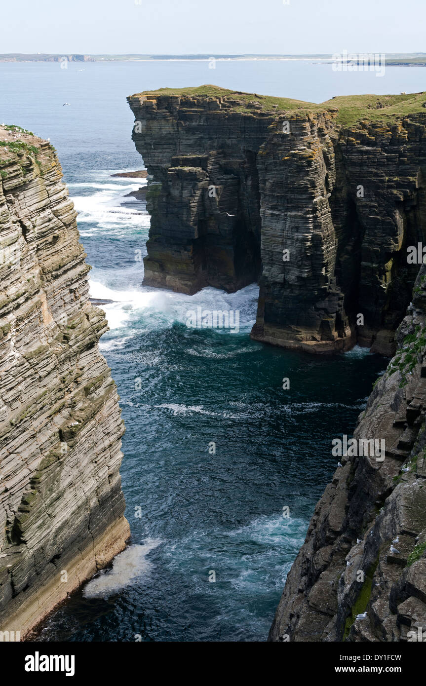 Cliff scenery at Holborn Head, Scrabster, near Thurso, Caithness ...