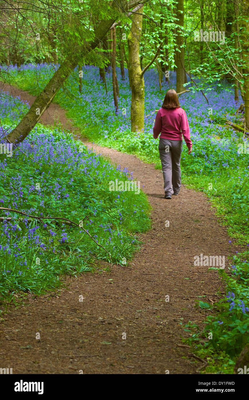 Woman walking on pathway in forest hi-res stock photography and images ...