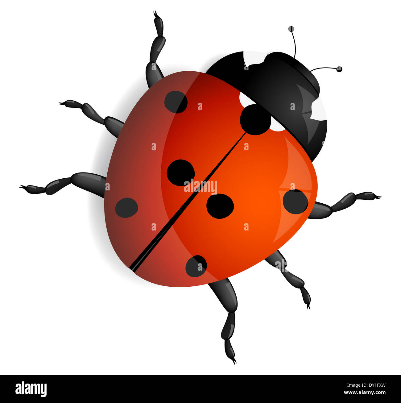 Red ladybug isolated on white Stock Photo - Alamy
