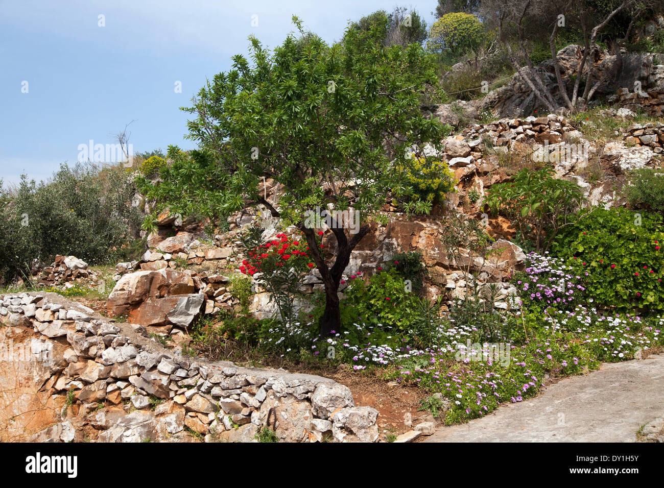 Impression of Gytheio, the ancient Gythium or Gytheion, a town in ...