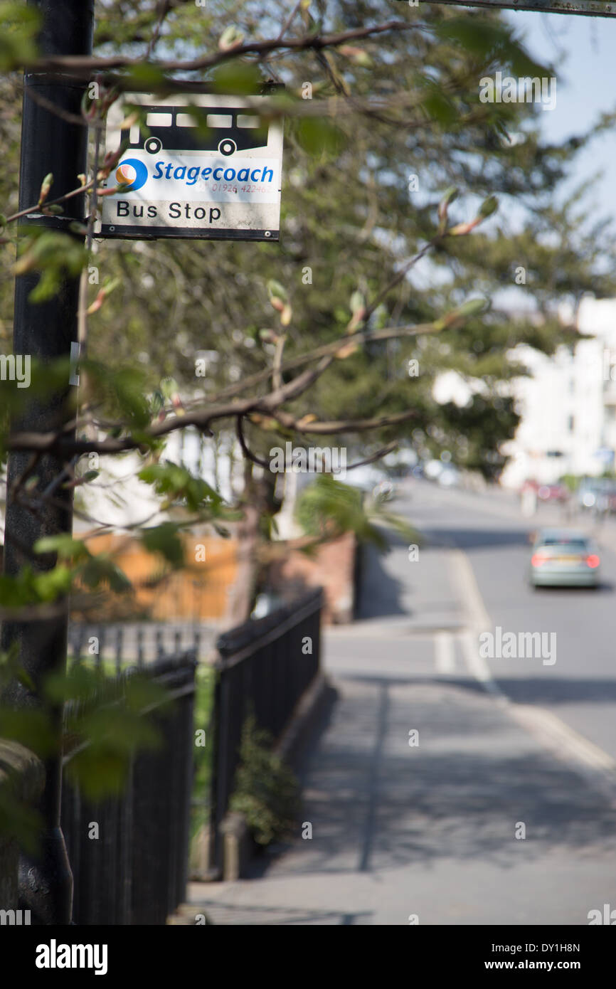 Bus stop with trees hi-res stock photography and images - Alamy