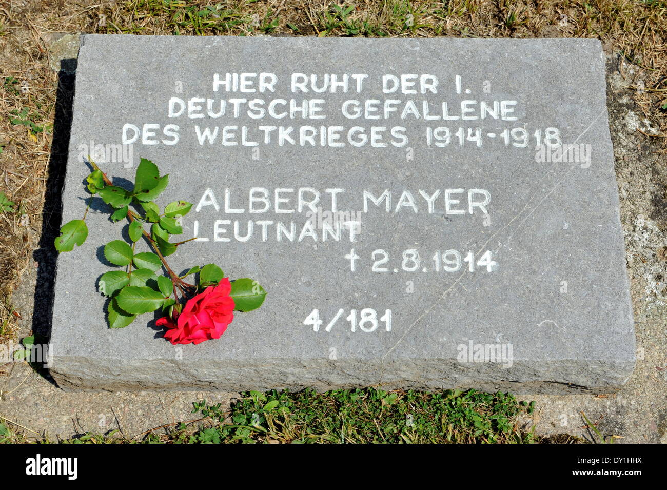 A red rose is lying on July 19, 2013, on the gravestone of Lieutenant ...