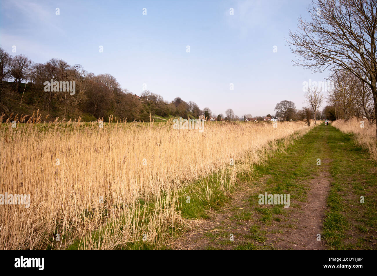 Path through The Countryside Winchelsea East Sussex UK Beside The ...