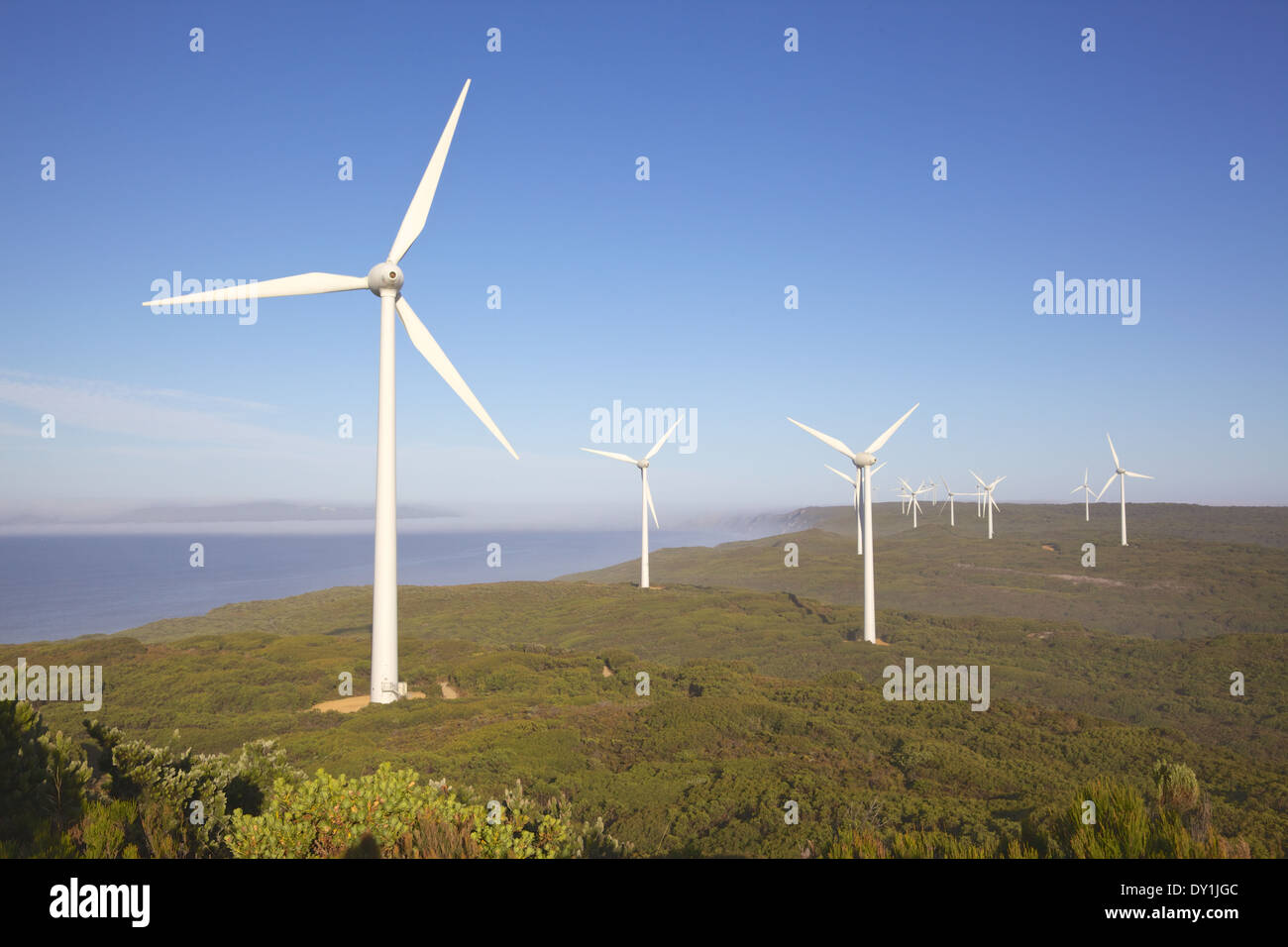 Wind turbines on a misty morning at Albany Wind Farm, near the town of ...