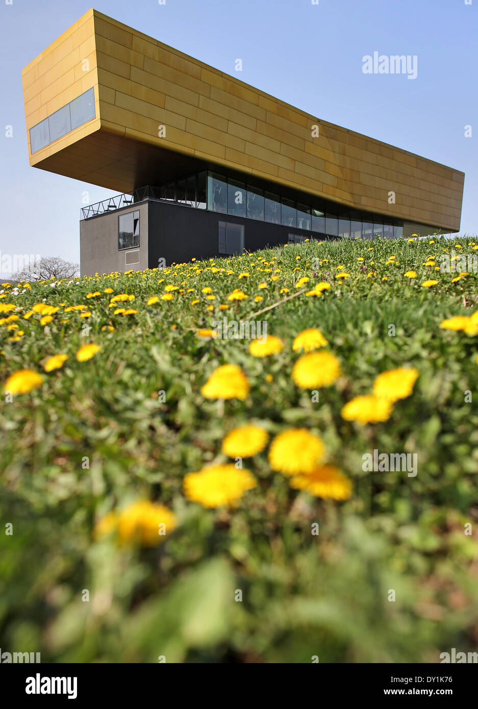 Nebra, Germany. 03rd Apr, 2014. Dandelions are in bloom in front of ...