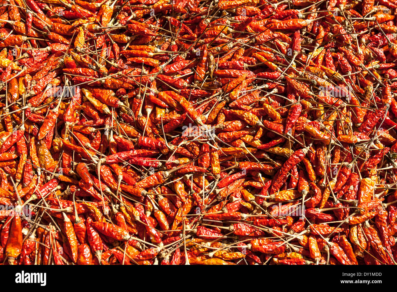 Chili peppers drying in sun hi-res stock photography and images - Alamy