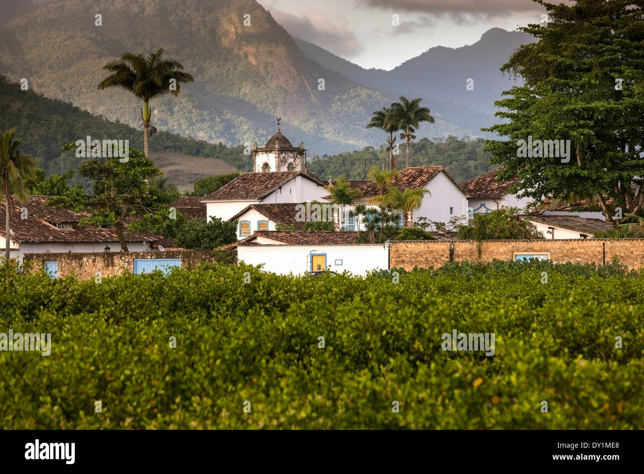 Colonial forest hi-res stock photography and images - Alamy