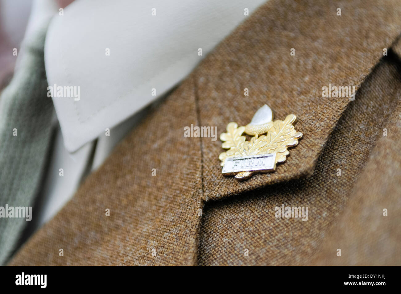 Lapelle badge worn by a soldier from the 2nd Batt. Mercian Regiment ...