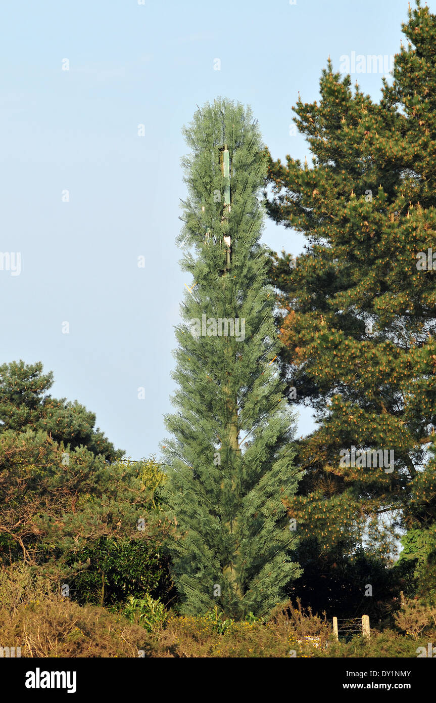 Cell phone tower tree pine hi-res stock photography and images - Alamy