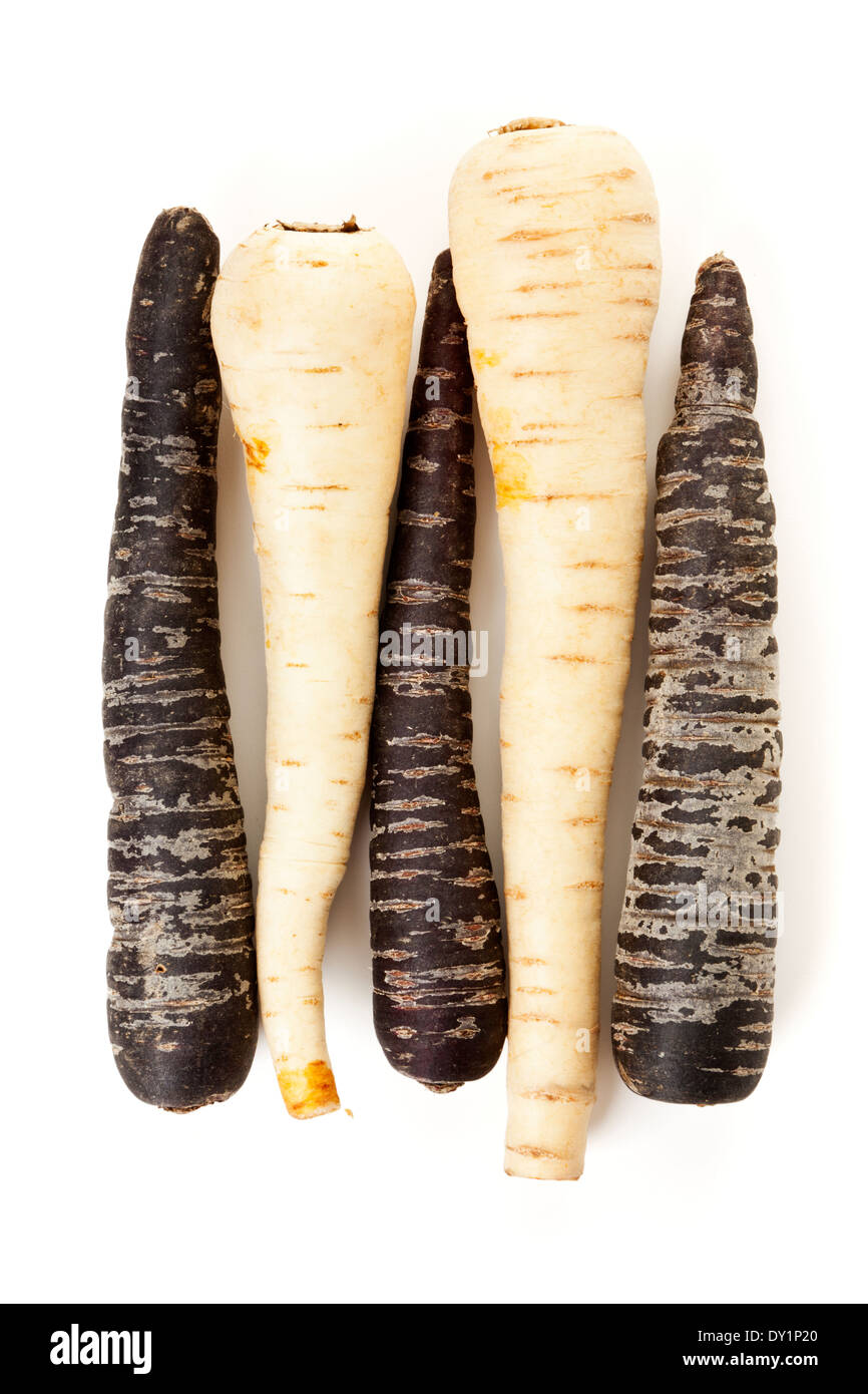 Purple carrots and parsnip roots from above on white background Stock ...