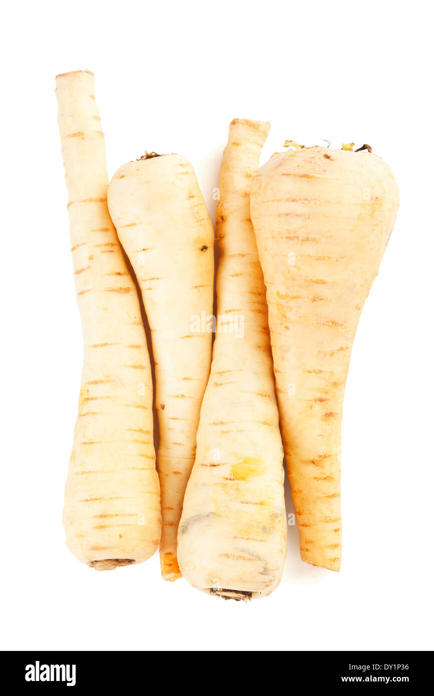 Parsnip roots from above on white background Stock Photo - Alamy