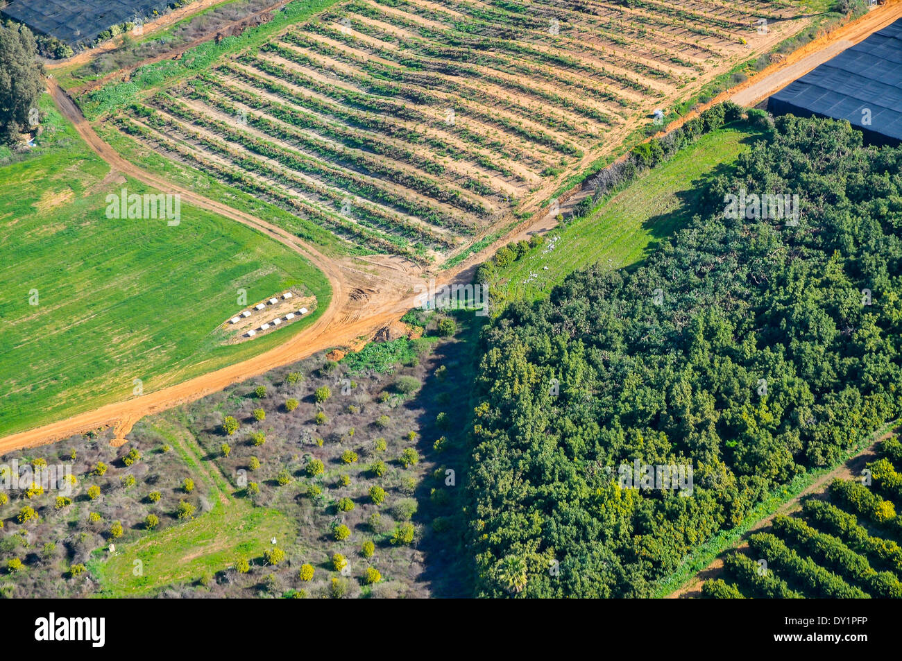 Aerial view of Sharon District, Israel from within a Cessna airplane ...