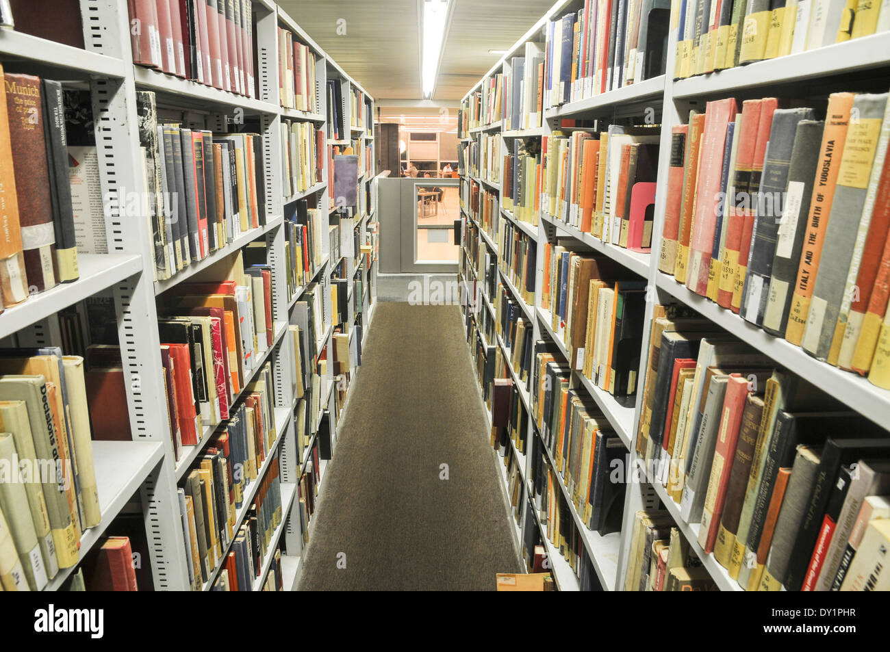 Books in a library Stock Photo - Alamy