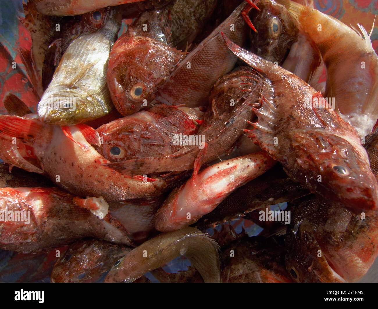 Marseilles bouillabaisse hi-res stock photography and images - Alamy