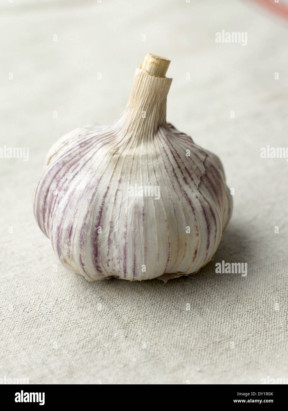 Garlic bulb on Cloth Background Stock Photo - Alamy