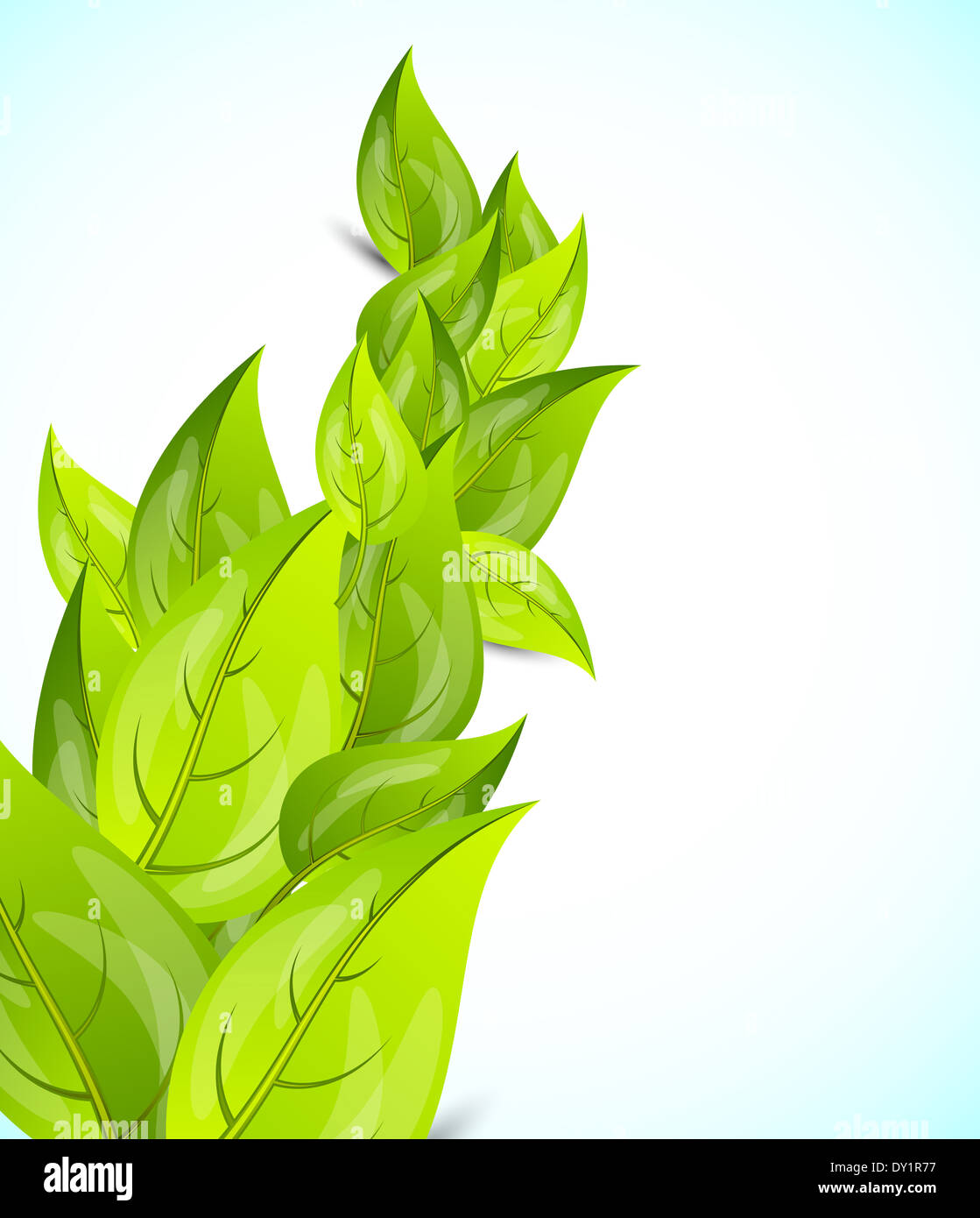 Bright background with green leaves Stock Photo - Alamy