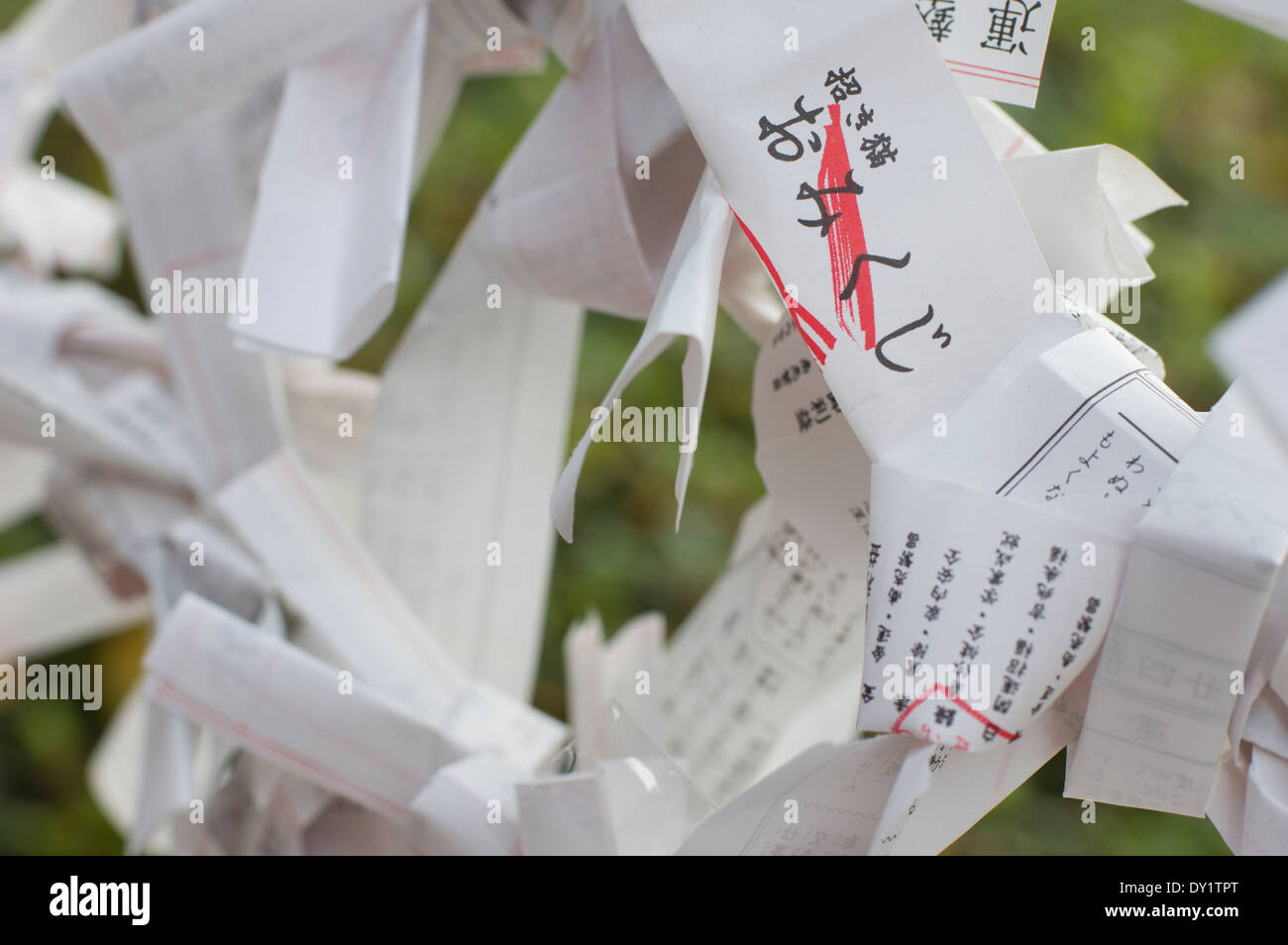 Omikuji hi-res stock photography and images - Alamy