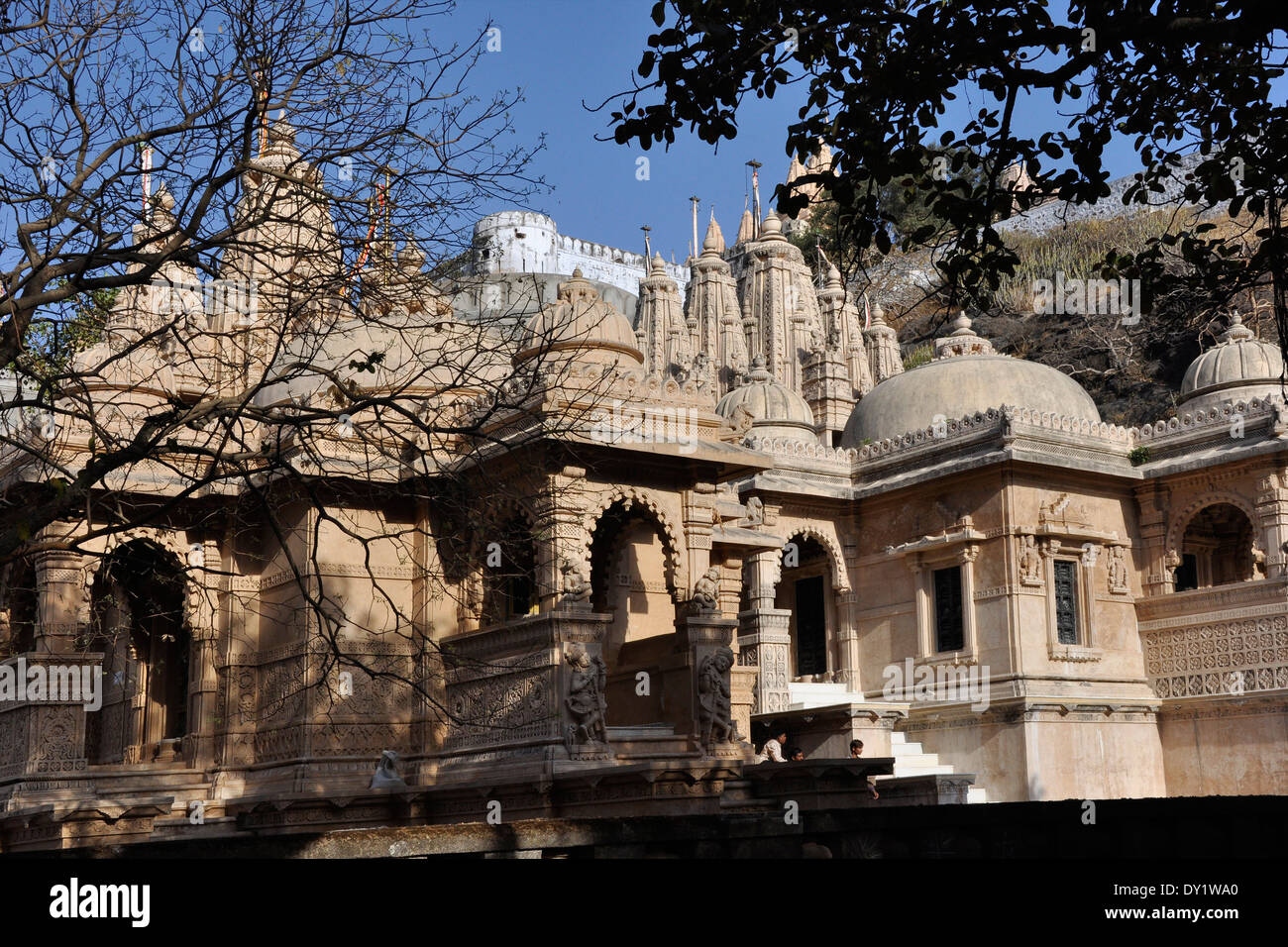 Palitana jain temple hi-res stock photography and images - Alamy