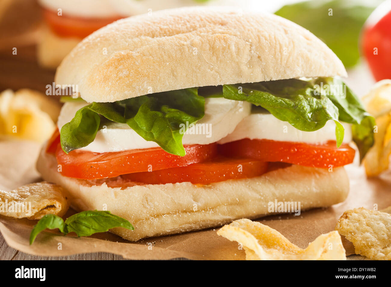 Mozzarella cheese tomato bruschetta hi-res stock photography and images ...