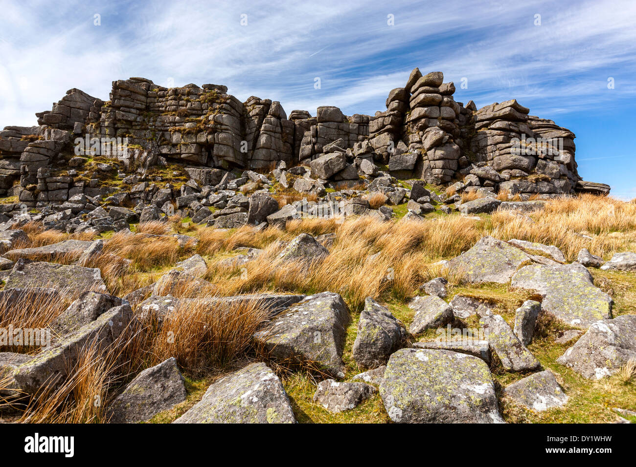 Winter Tor, Dartmoor National Park, Belstone, West Devon, England, UK ...