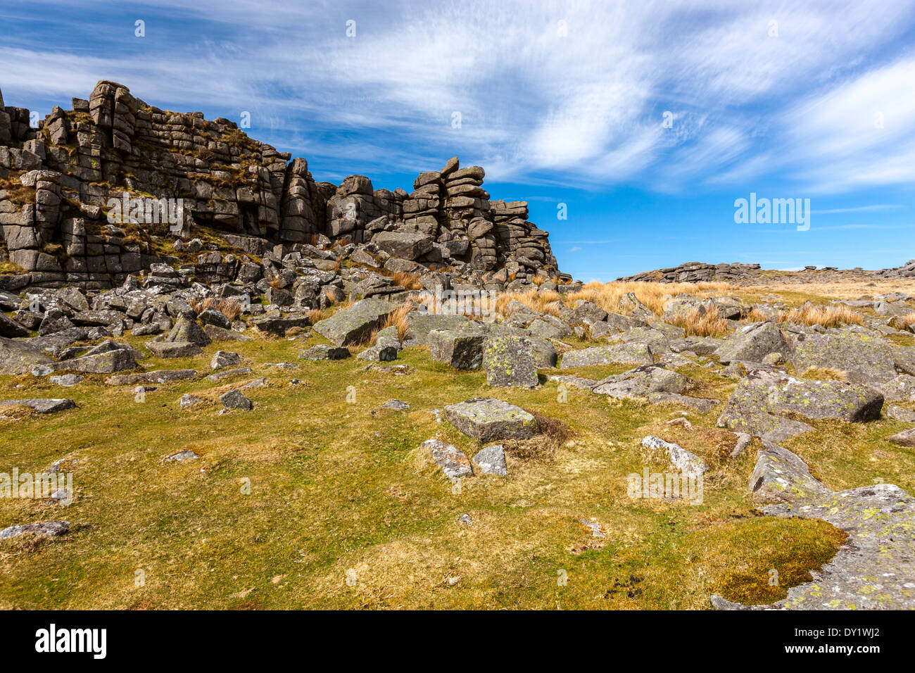 Winter Tor, Dartmoor National Park, Belstone, West Devon, England, UK ...