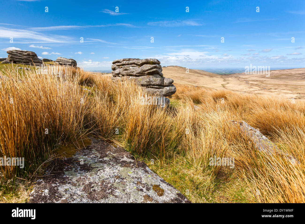 Oke Tor, Dartmoor National Park, Belstone, West Devon, England, UK ...