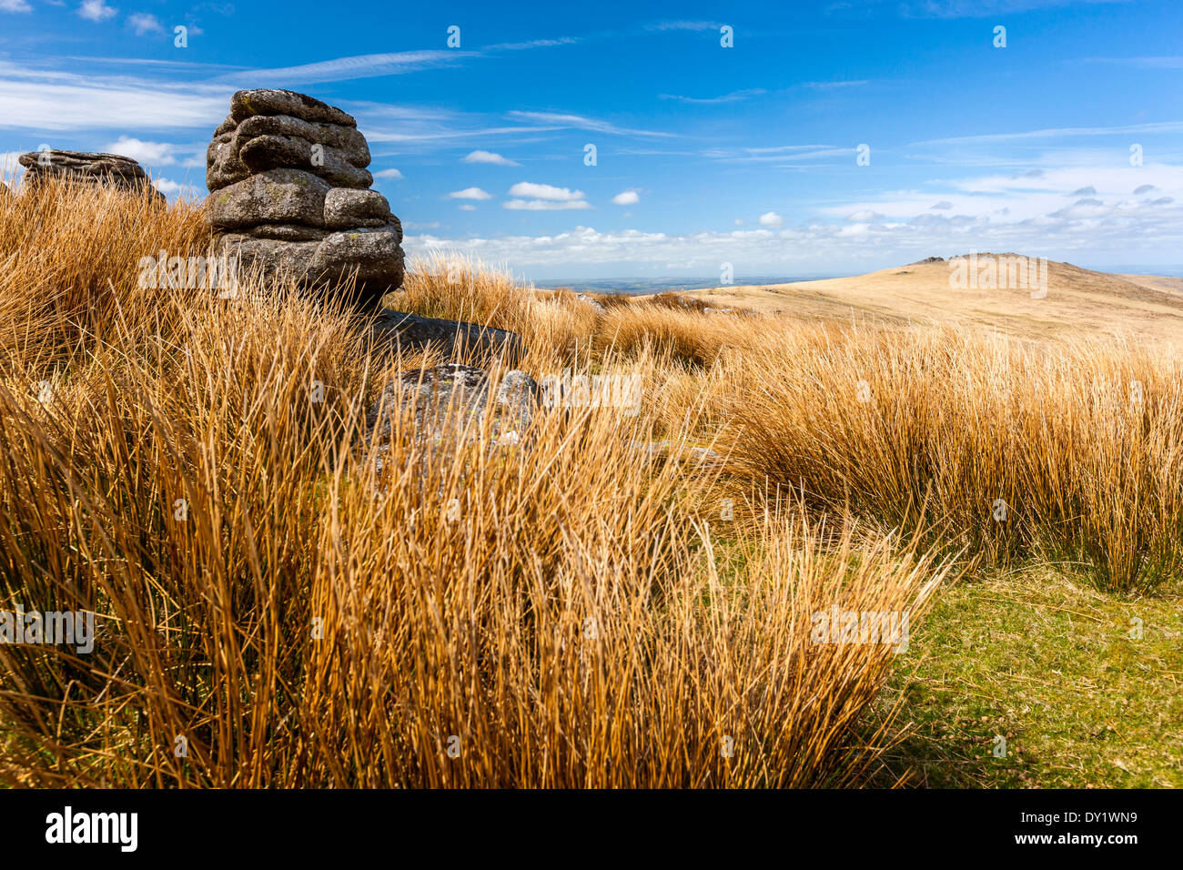 Oke Tor, Dartmoor National Park, Belstone, West Devon, England, UK ...