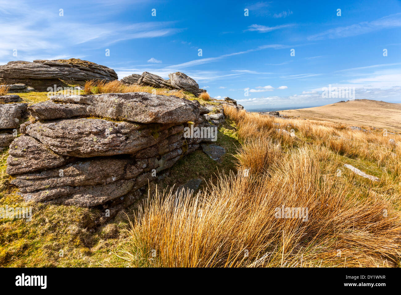 Oke Tor, Dartmoor National Park, Belstone, West Devon, England, UK ...