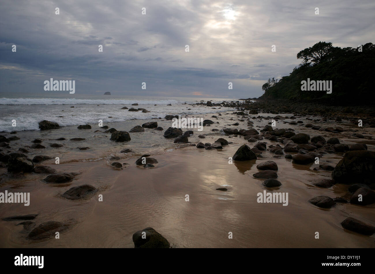 Northern end of Hot Water Beach at dusk on the Coromandel Peninsula ...