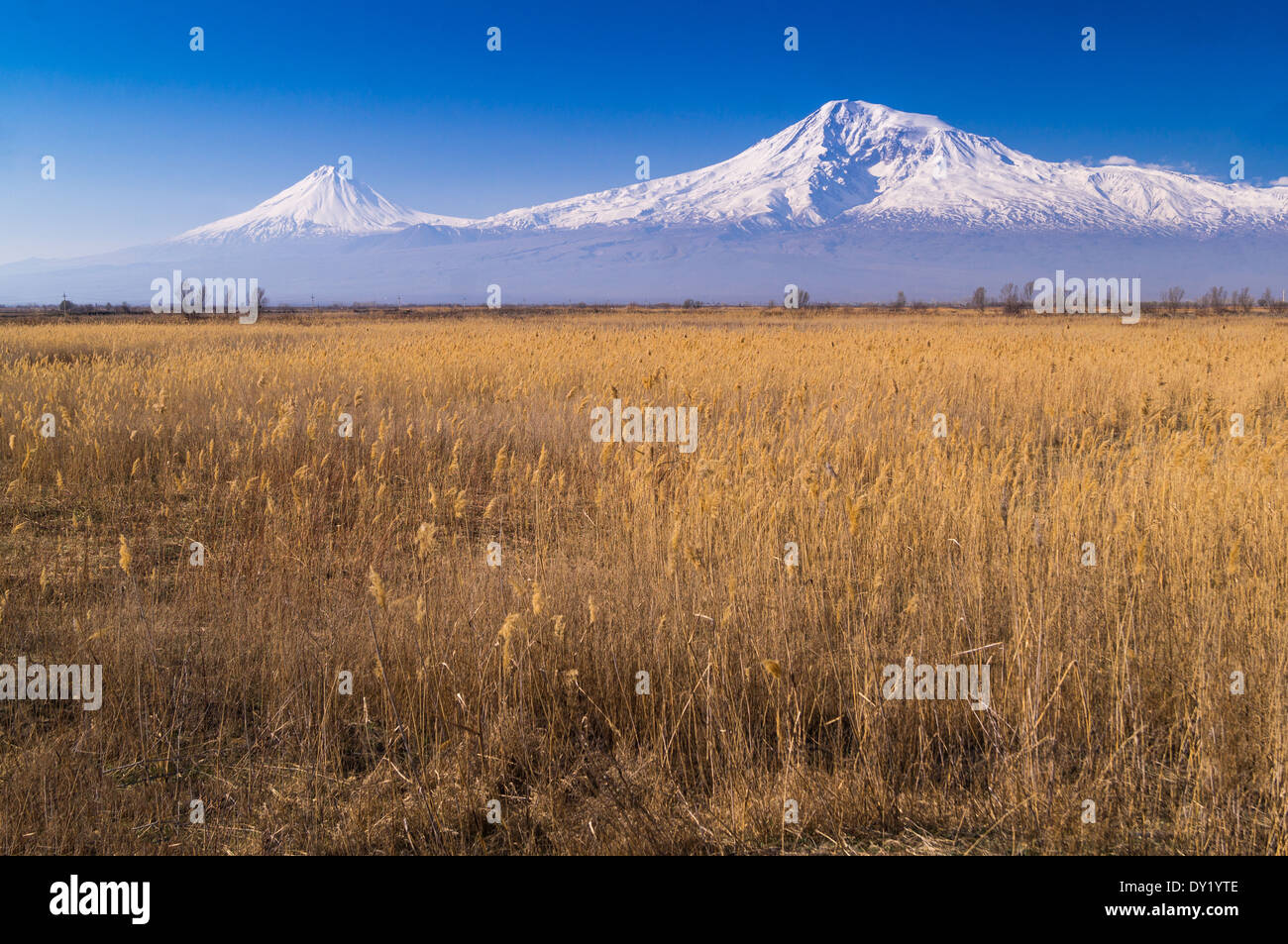 Mountains of ararat hi-res stock photography and images - Alamy