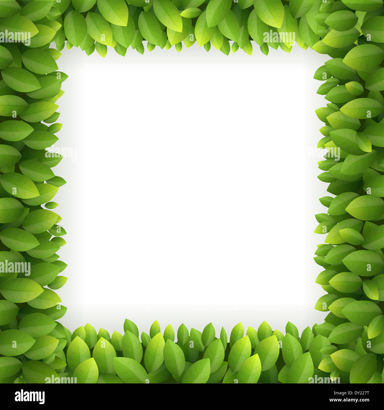 Botanic frame hi-res stock photography and images - Alamy