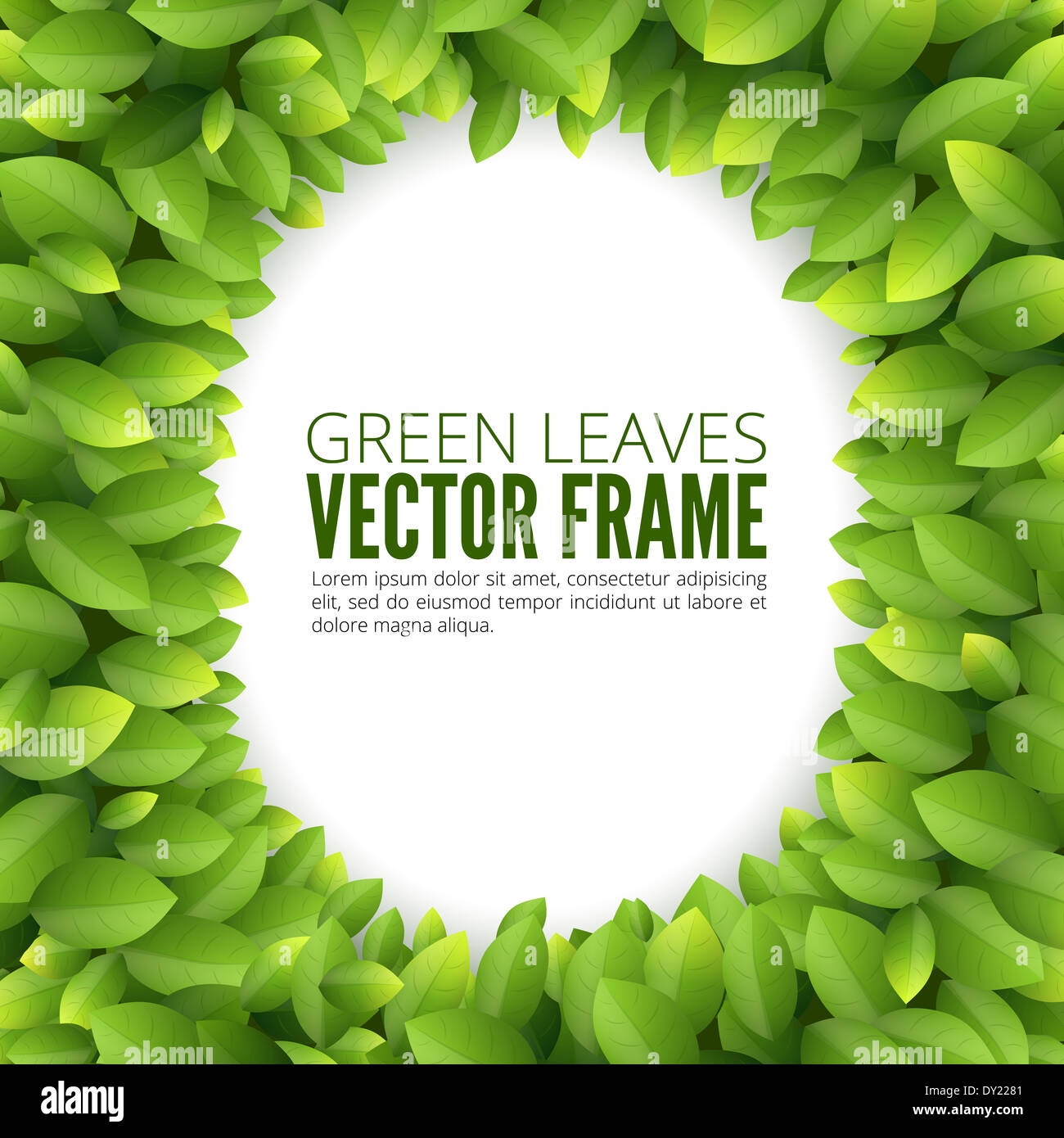 Vector green leaves frame Stock Photo - Alamy