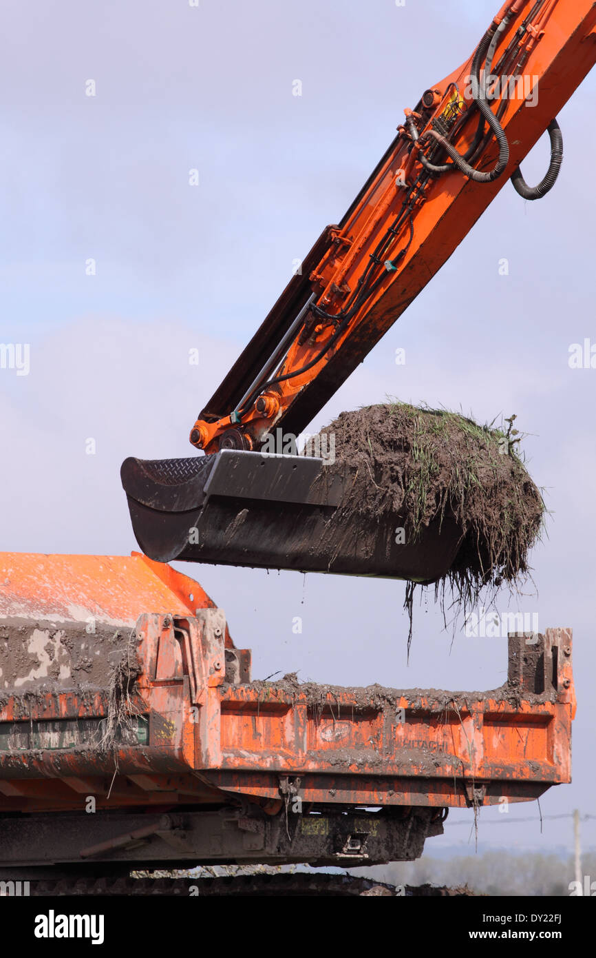 Silt from dredging on the River Parrett on the Somerset Levels is ...