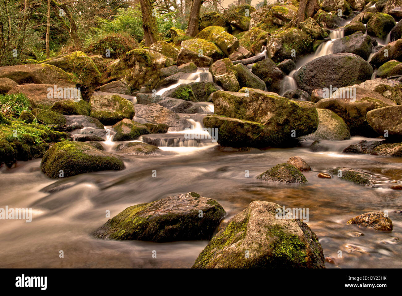 Becky Falls Woodland Park And Nature Trail, ( Becka Falls), Manaton ...