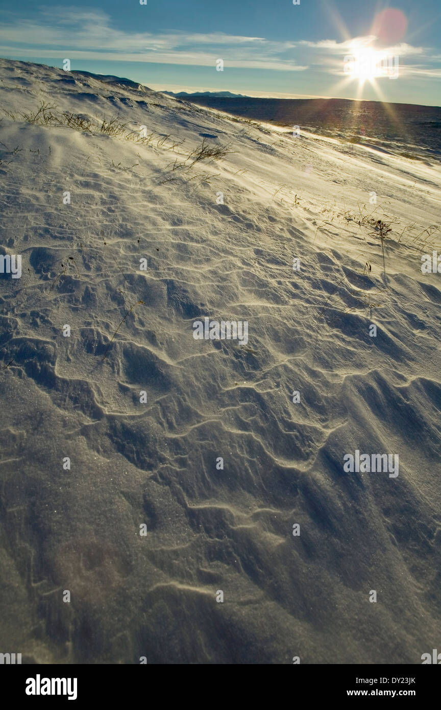 Drifting snow tundra hi-res stock photography and images - Alamy