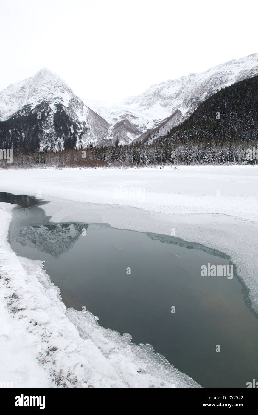 Frozen river with salmon in Chugach Mountains National Forest, Alaska ...
