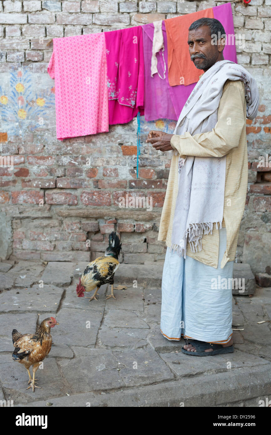 Varanasi, Uttar Pradesh, India, South Asia. Man feeding his hens ...