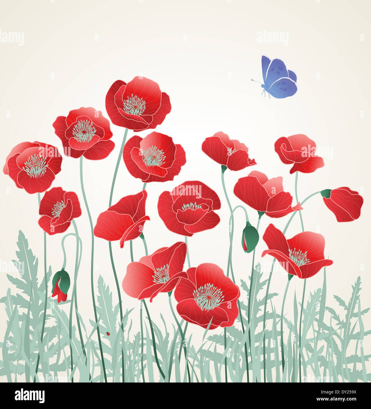 Poppy Poppies with blue butterfly Stock Photo - Alamy