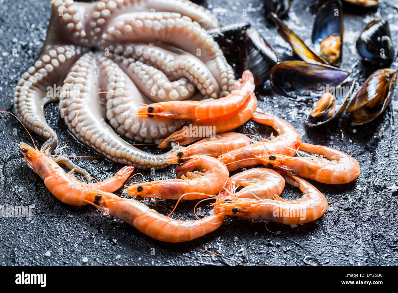 Closeup of different raw seafood Stock Photo - Alamy