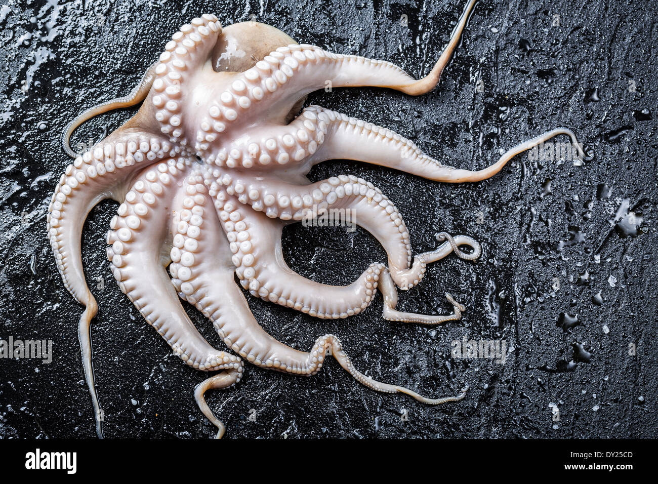 Octopus rock hi-res stock photography and images - Alamy