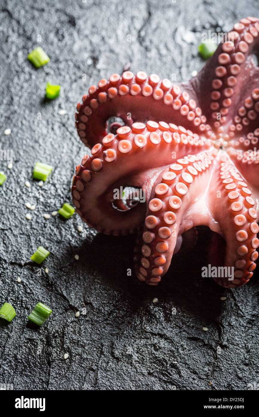 Purple octopus hi-res stock photography and images - Alamy