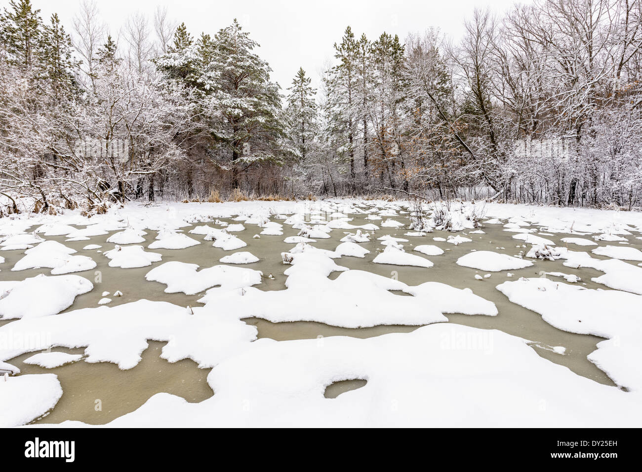 A late winter storm leaves Murphy-Hanrehan Park Reserve coated in a ...