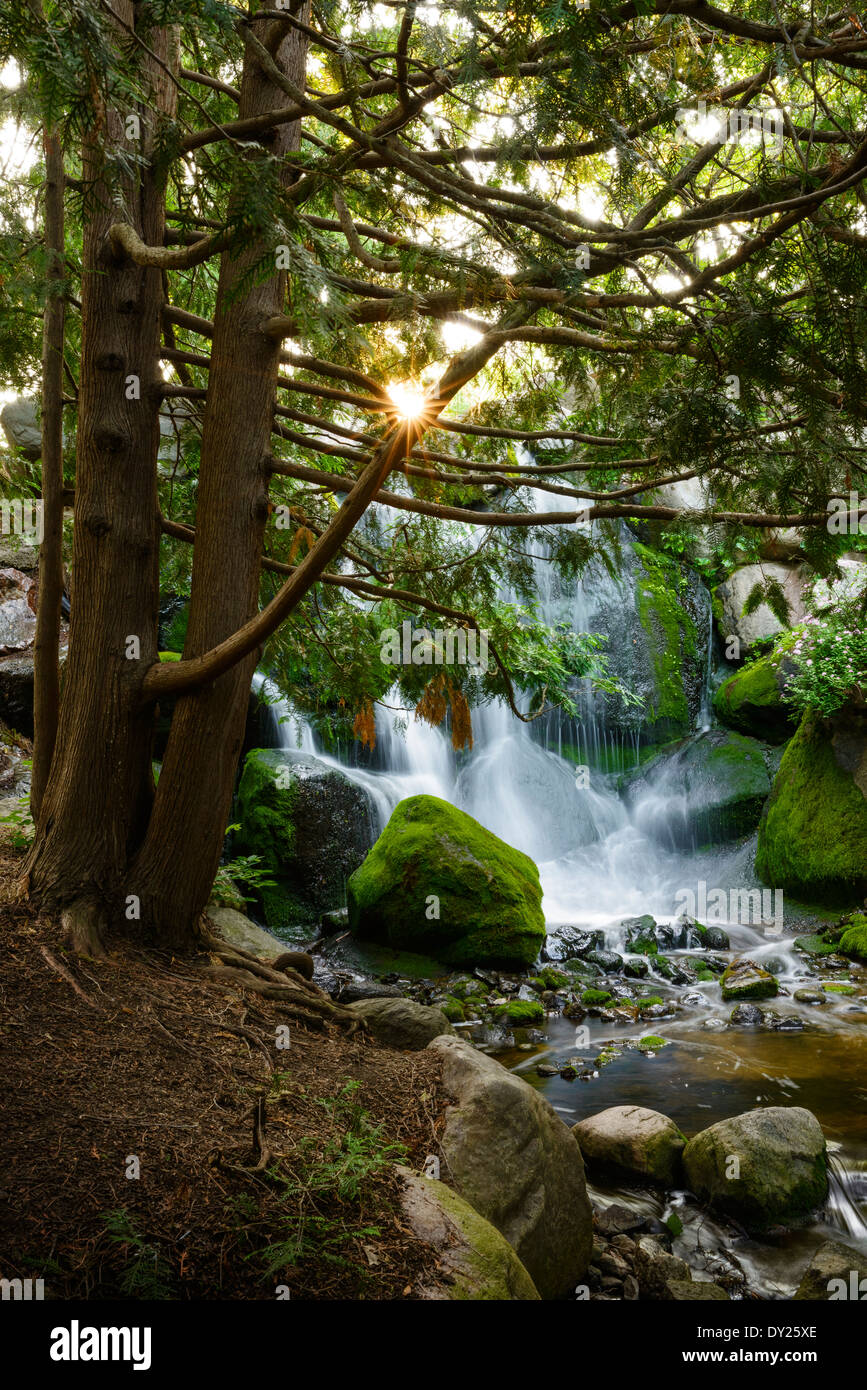 Minnesota landscape arboretum hi-res stock photography and images - Alamy