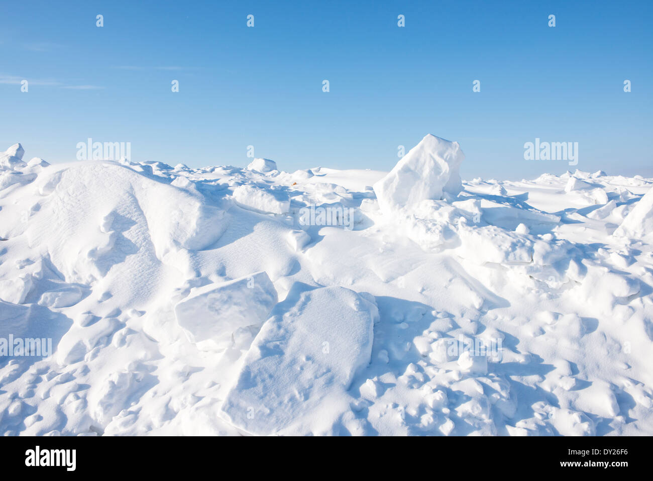 Desolate Winter Landscape