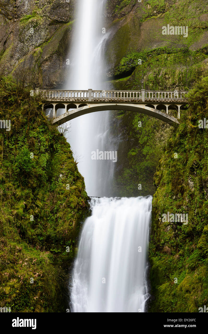 Multnomah Falls and Benson Bridge in the Columbia River Gorge Stock ...